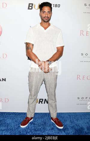 LOS ANGELES - JUN 2: Anthony Bless at the REGARD Magazine's Summer ...