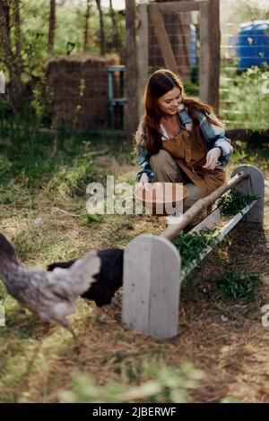 A woman works on a farm and feeds her chickens healthy food, putting ...