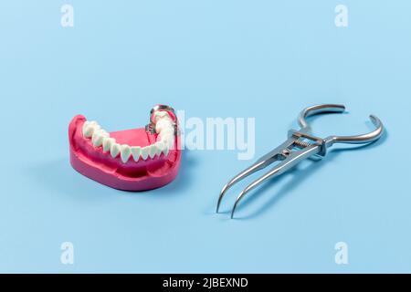 Layout of the human jaw with the clamp on the blue background. Medical ...