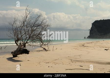 Sandy beach of Tarimbang in Tabundung, East Sumba, East Nusa Tenggara ...