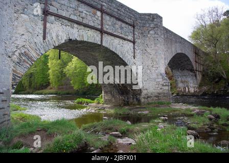 18th century Old Spey Bridge and lupines flowering along the River Spey ...