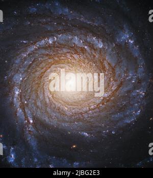 Draco Star Constellation, Night Sky, Constellation Lines Dragon Stock ...
