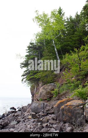 Lake Superior shoreline in Northern Minnesota Stock Photo - Alamy