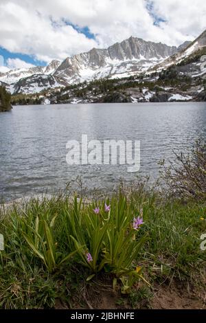 The Bishop Pass Trail in the Eastern Sierra of California takes hikers ...