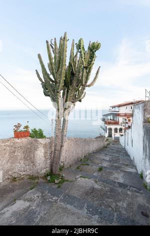 Spring time in Amalfi Coast, Italy Stock Photo - Alamy