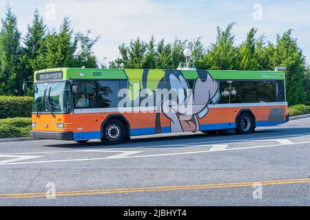 Disney Transport themed bus with Goofy used to transport guests around ...
