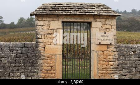 Puligny-Montrachet, Burgundy, France - 18th October 2021 - The world ...