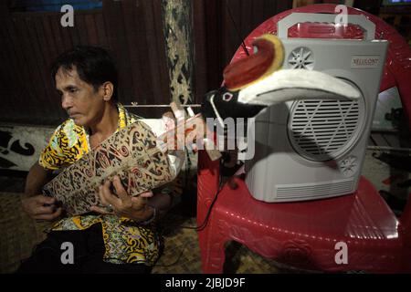 Sapeh, or Sape, a traditional Dayak string instrument of Borneo origin ...