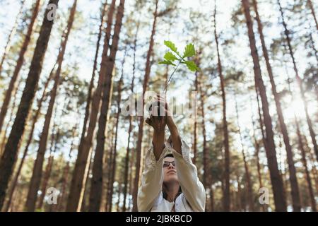 Young female volunteer plants a forest, holding an oak tree seedling in ...