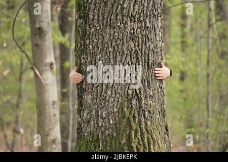 Human hans embracing a tree trunk. Embracing, protecting nature concept ...
