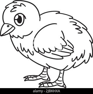 Chick Coloring Page Isolated for Kids Stock Vector Image & Art - Alamy