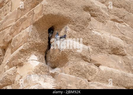 Close up of casing blocks of The Meidum Pyramid Known as the ‘Collapsed ...