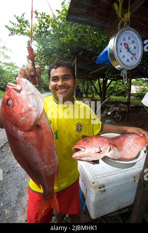 Panama, red snapper is sold along the road in Chiriqui provence. The ...