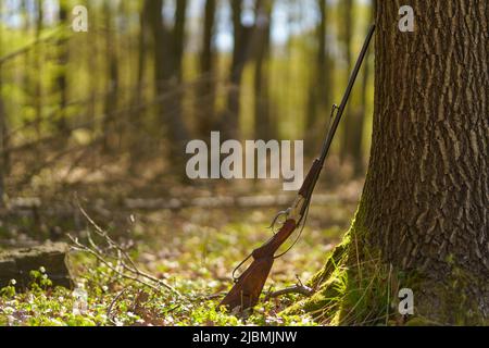Hunter's rifle gun near tree in forest Stock Photo - Alamy