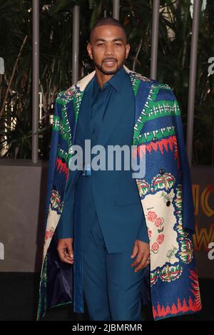 HOLLYWOOD, CA - JUNE 06: Alano Miller attends the Los Angeles premiere ...