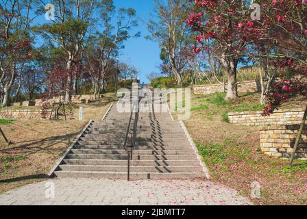 Park on Mount Inasa, Nagasaki, Kyushu, Japan Stock Photo - Alamy