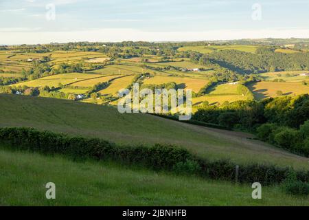 Hill field, High Bickington, North Devon, England, United Kingdom Stock ...