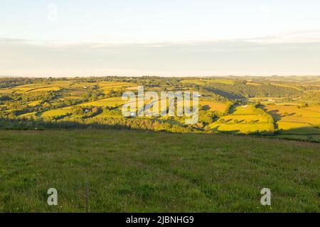 Hill field, High Bickington, North Devon, England, United Kingdom Stock ...