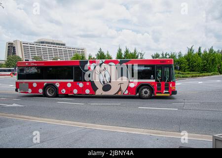 Disney Transport themed bus with Minnie Mouse used to transport guests ...