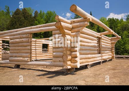 Unfinished Scandinavian log cabin being built with Eastern white pine ...