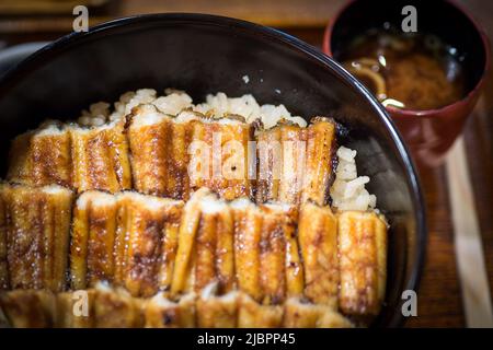 Anagodon, rice bowl with grilled conger eel, japanese food Stock Photo ...