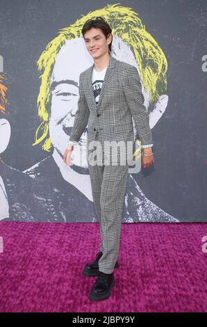 7 June 2022 - Hollywood, California - Louis Partridge, FX's 'Pistol ...