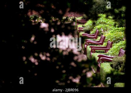 Benches at bowling green in Hexham Park, Northumberland Stock Photo - Alamy