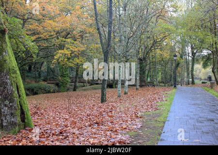 a fall scenario never fails to be a romantic place to be Stock Photo ...