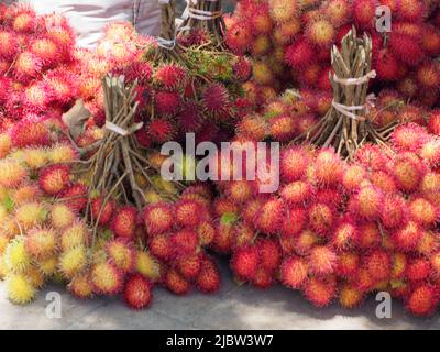 A bunch of pulasan fruit. A red tropical fruit with the scientific name ...