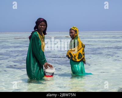Matemwe, Zanzibar - January 2021: Women in green dresses and ...
