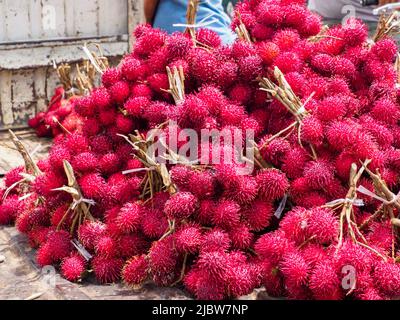 A bunch of pulasan fruit. A red tropical fruit with the scientific name ...