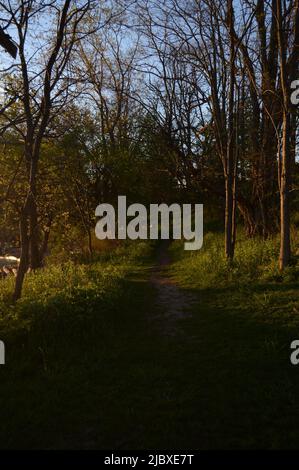 Webster Park NY Lake Ontario pier Stock Photo - Alamy