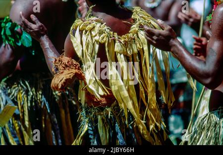 Native Fijian men dressed in traditional dress performing and dancing ...