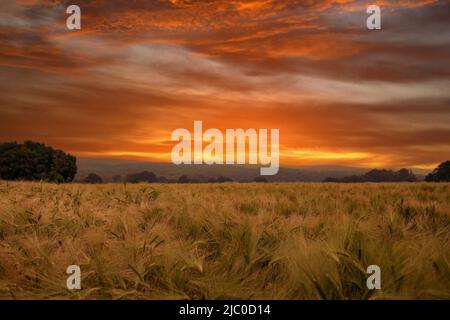 Sky backgroung. Sunset and sunrise, morning, evening. Colorful clouds ...