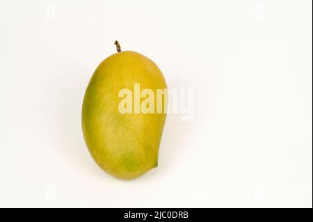 Single Kesar mango on white Stock Photo - Alamy