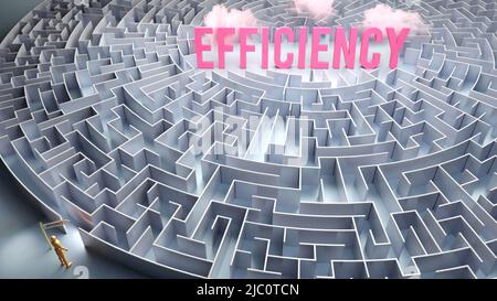 Efficiency and a challenging path that leads to it - confusion and ...