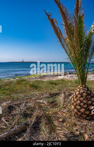 View of couple on Playa Punta Prima looking out to lighthouse, Punta ...