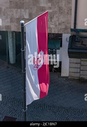 A picture of the Kranj and Slovenian flags Stock Photo - Alamy