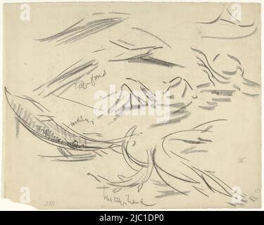 Detail and movement studies of a sterlet, Gerrit Willem Dijsselhof ...