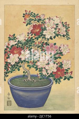 Ohara Koson – Flowering Azalea in a Pot (Bloeiende azalea in pot ...