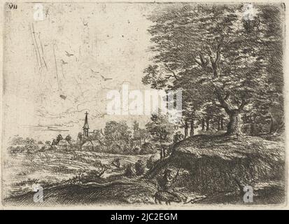 Landscape with a man with pigs, Philips Augustijn Immenraet, After ...