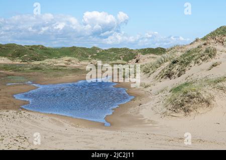 Coastal sand dunes and a flooded dune slack, Kenfig NNR, Glamorgan ...