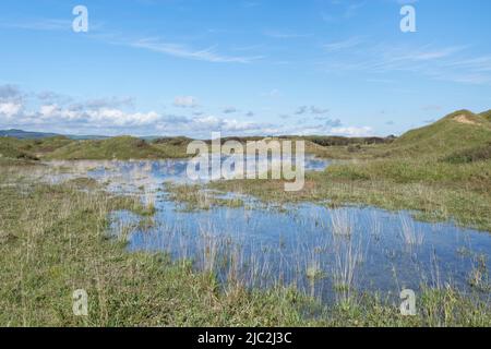 Coastal sand dunes and a flooded dune slack, Kenfig NNR, Glamorgan ...