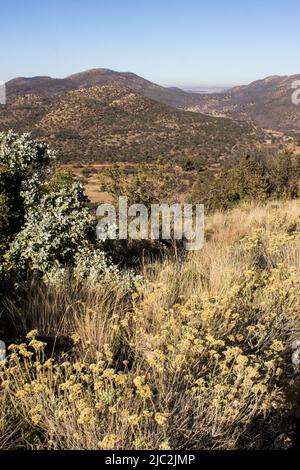 African bushveld - hills Stock Photo - Alamy