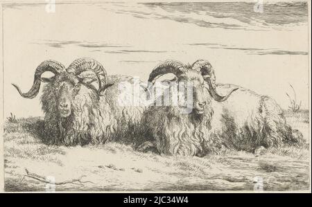 Two lying rams, Pieter Gerardus van Os, 1791 - 1839 print Netherlands ...