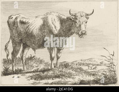 Standing bull Cows (series title), print maker: Pieter Gerardus van Os ...