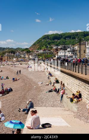 Sidmouth Seafront in the Summer Time, East Devon, England Stock Photo ...