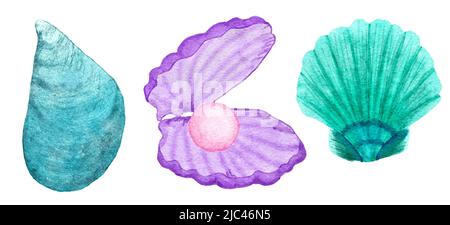 Watercolor illustration of shells, clam shell in blue turquoise purple ...