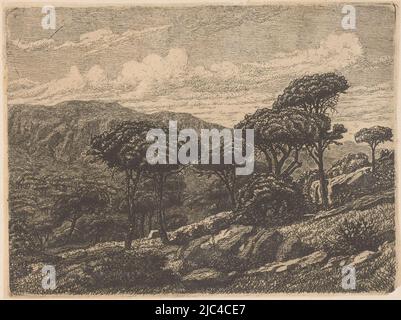 Mountainous landscape with trees, Agustín Riancho, 1851 - 1889 print ...