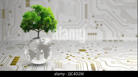 Tree growing on crystal globe and green grass. Digital Convergence and ...